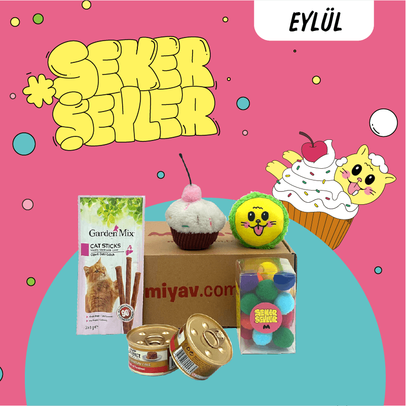 Miyav | Çok iyi değil mi yav!