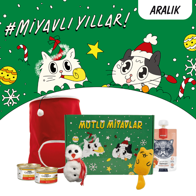 Miyav | Çok iyi değil mi yav!