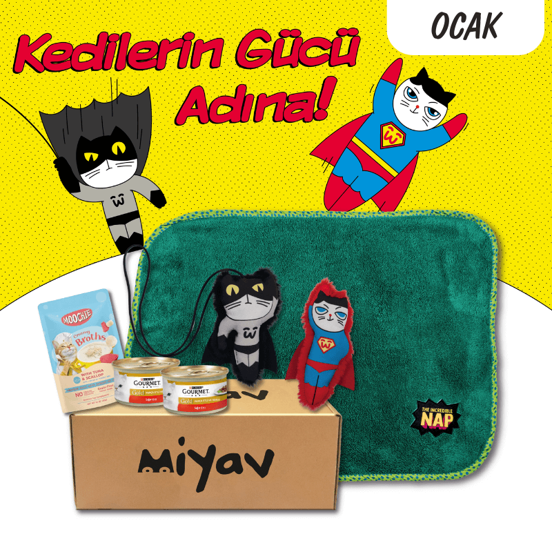 Miyav | Çok iyi değil mi yav!